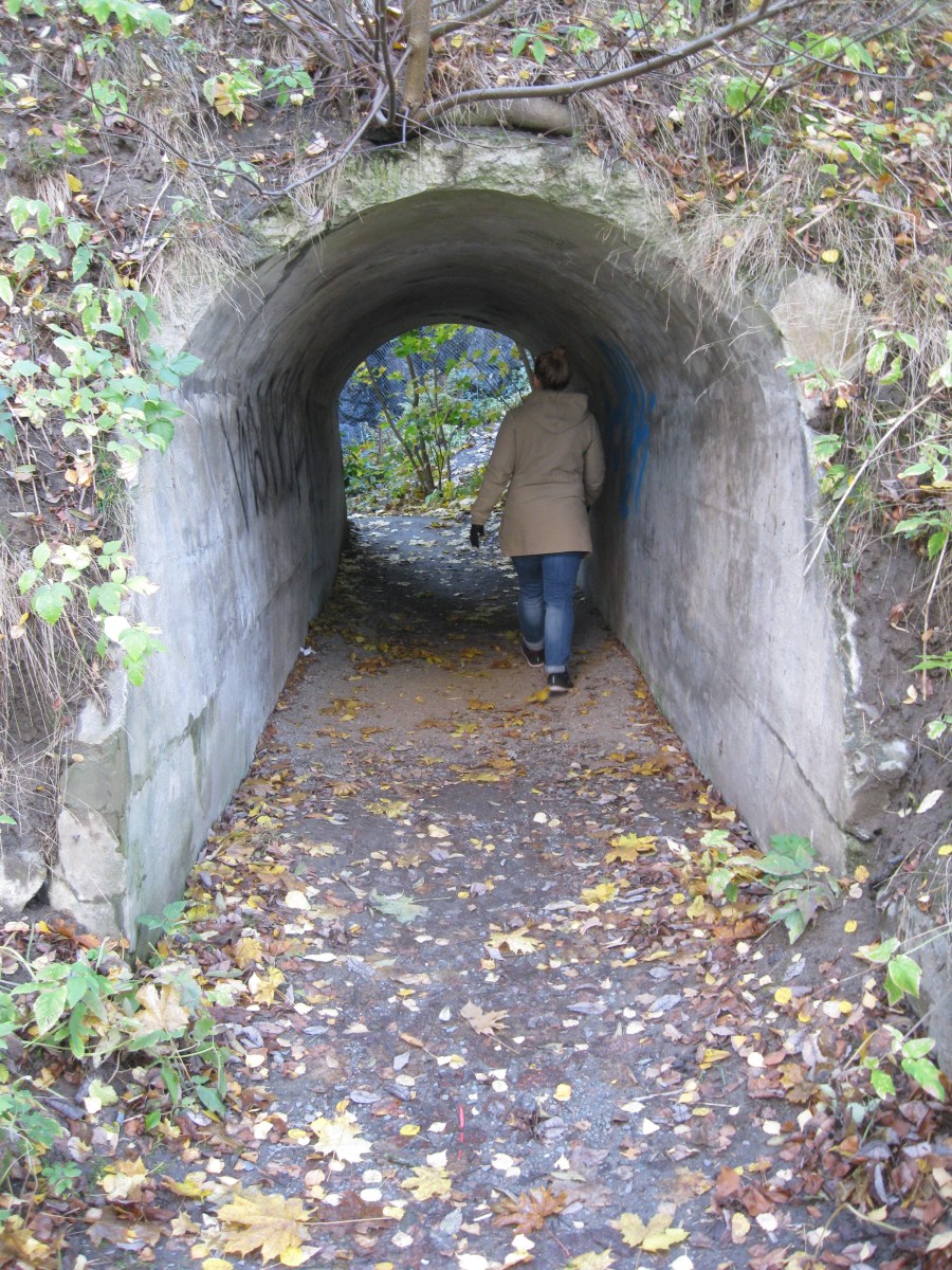 Exploring Vinterviken: Alfred Nobel’s Playground is Dynamite ...