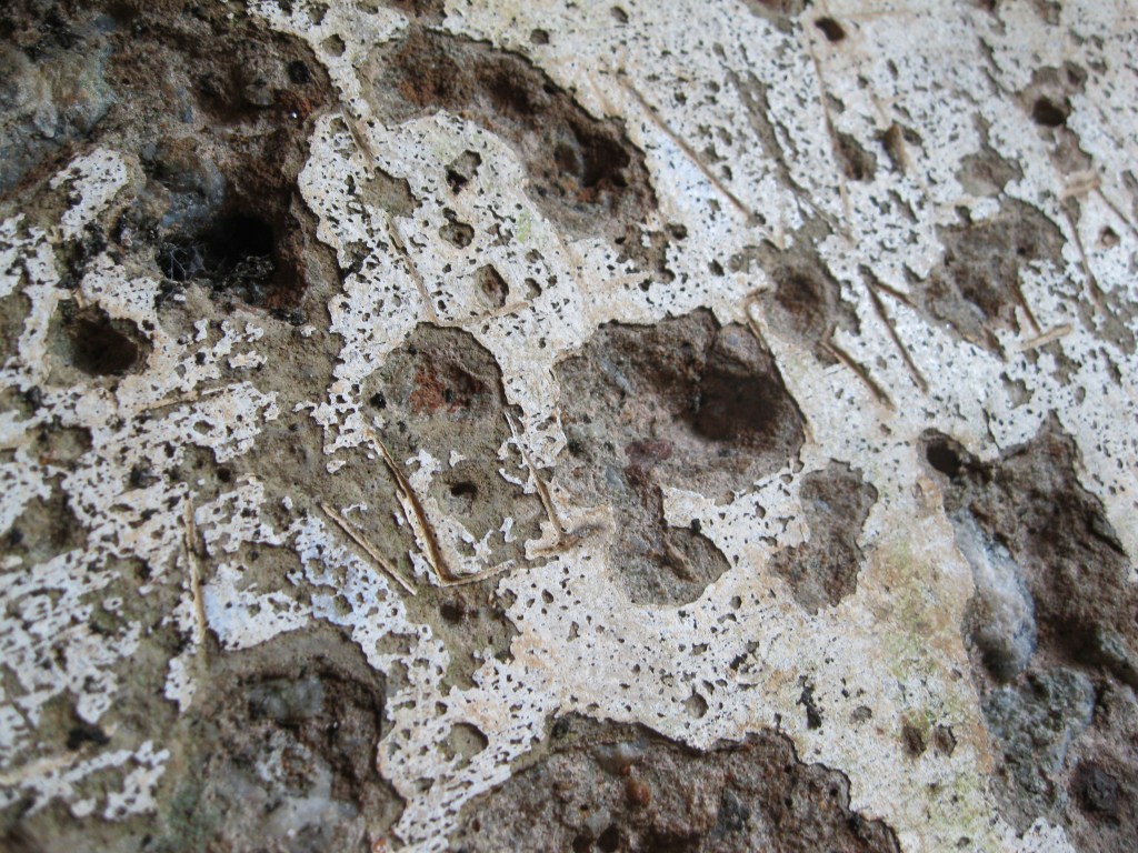 Traveling to Vietnam, to Honor a Friend – Rollerbag Goddess Global ...