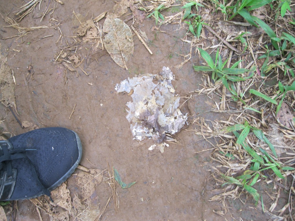 Traveling to Vietnam, to Honor a Friend – Rollerbag Goddess Global ...