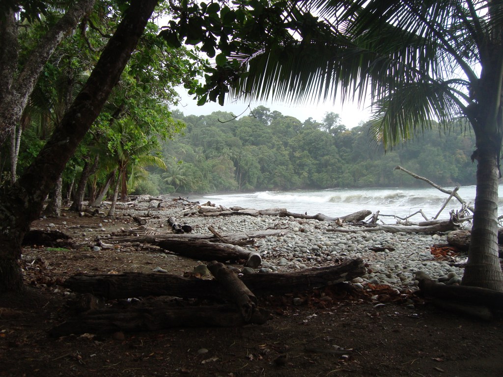 Girl Talk: On the Go with Aunt Flo – Rollerbag Goddess Global ...